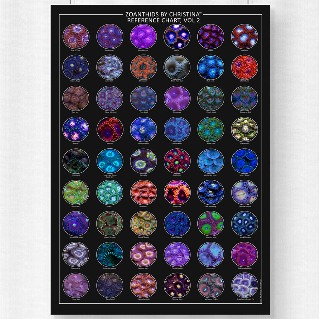 Polyps Corals Reef Zoas Zoanthid Aquarium Poster For Nepal, 47% OFF