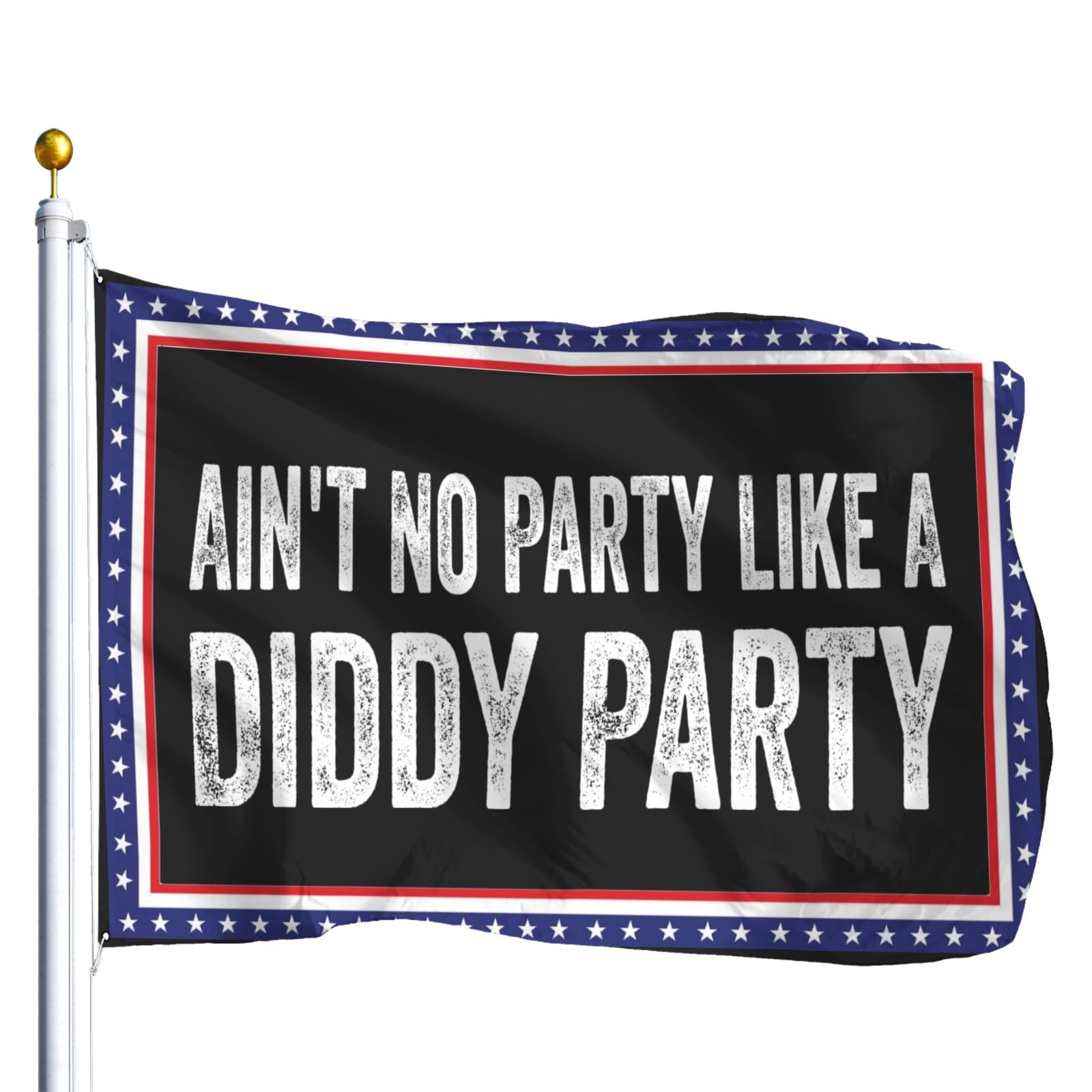 Amazon.com : Ain't No Party Like A Diddy Party funny Flags for Room ...