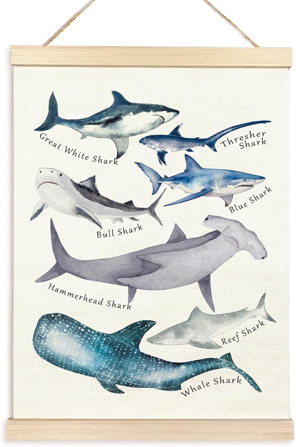 Avejjbaey Whales Educational Poster for Classroom Wall Animal Chart ...