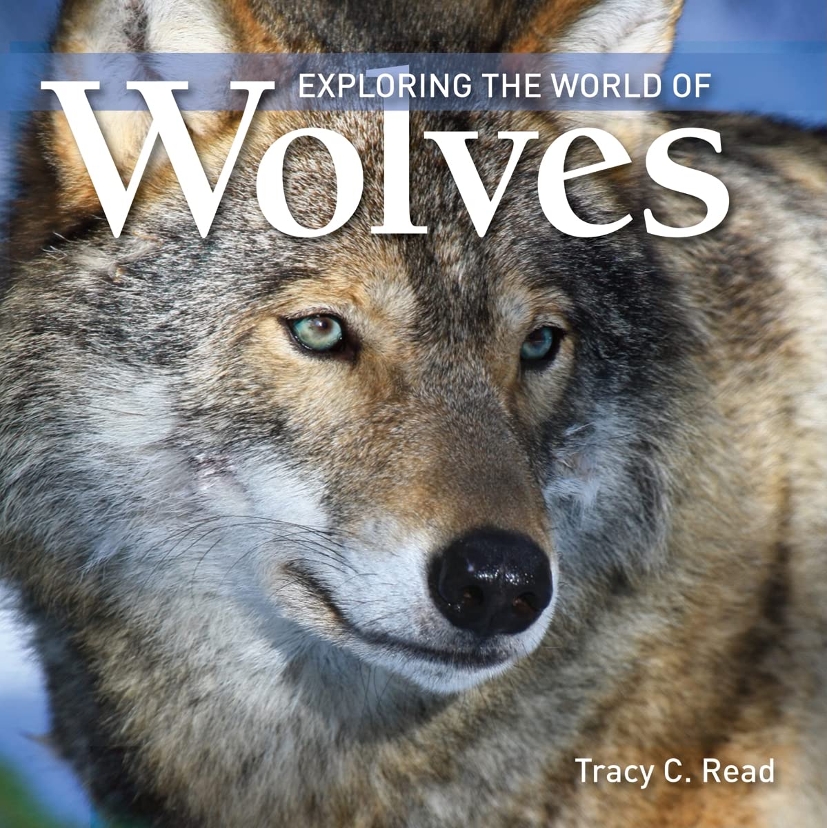 Exploring the World of Wolves : Read, Tracy C.: Amazon.fr: Livres