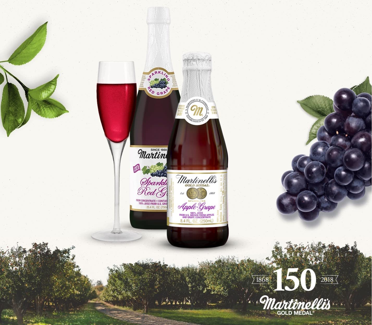Snapklik.com : Martinellis Sparkling Red Grape Juice