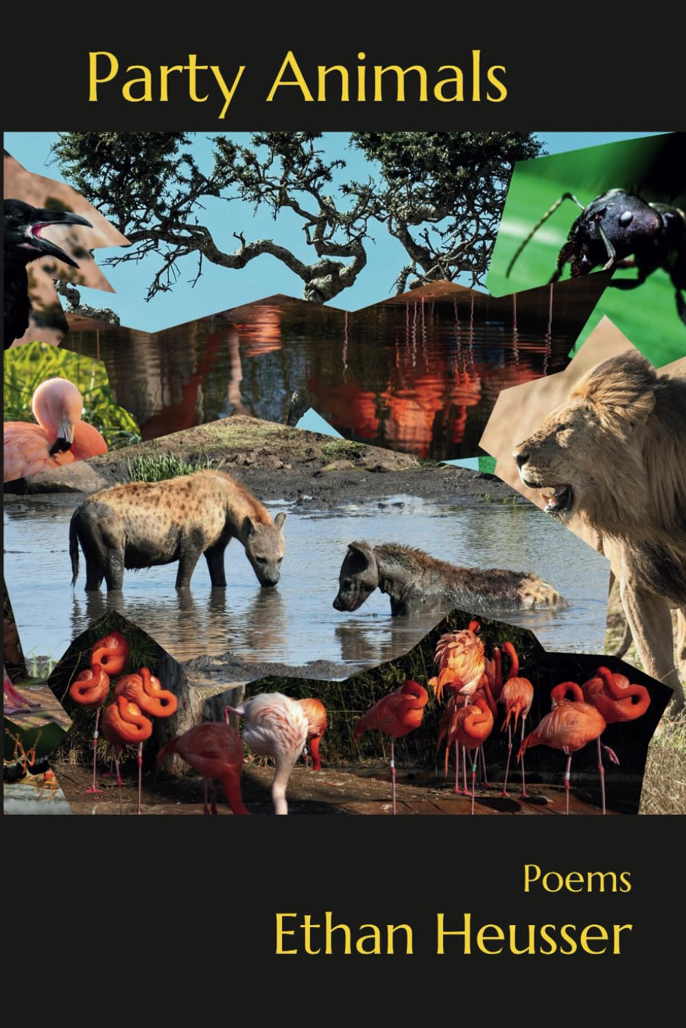 Book review of Party Animals - Readers' Favorite: Book Reviews and ...
