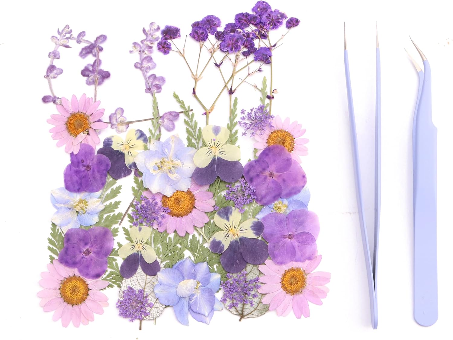 Amazon.com: Caiyjhao 35PCS Resin Dry Flower Embossing +2 Tweezers. Real ...