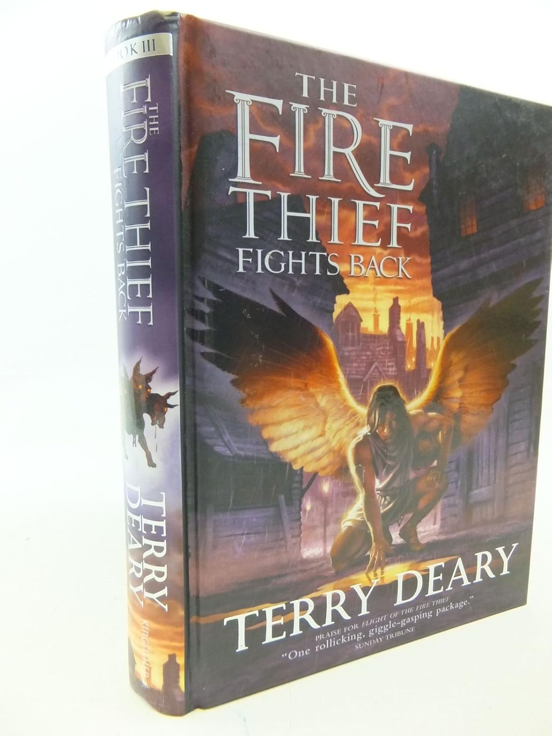 The Fire Thief Fights Back : Deary, Terry: Amazon.co.uk: Books