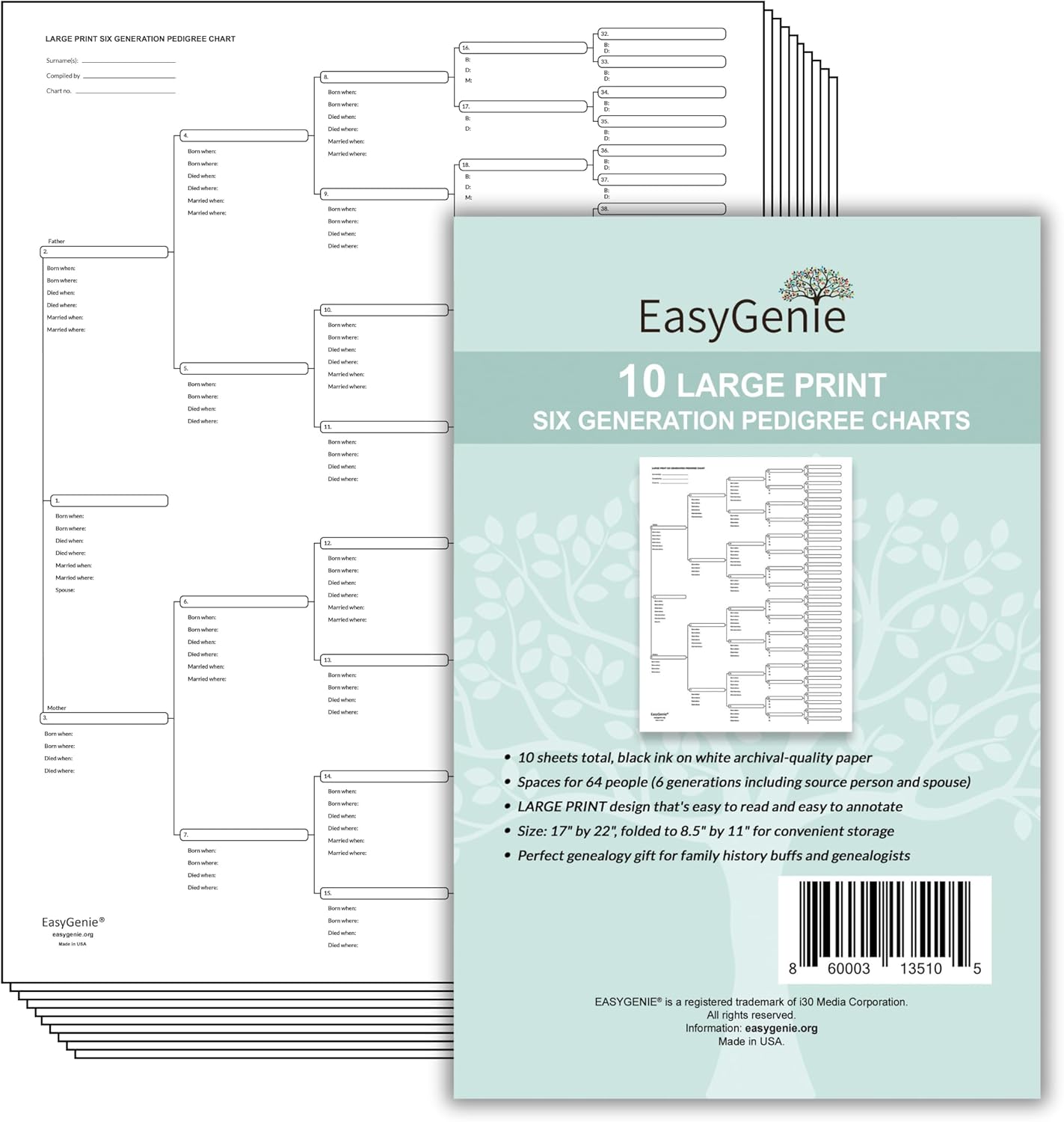 EASYGENIE 10 LARGE PRINT Six Generation Pedigree Charts for Family ...