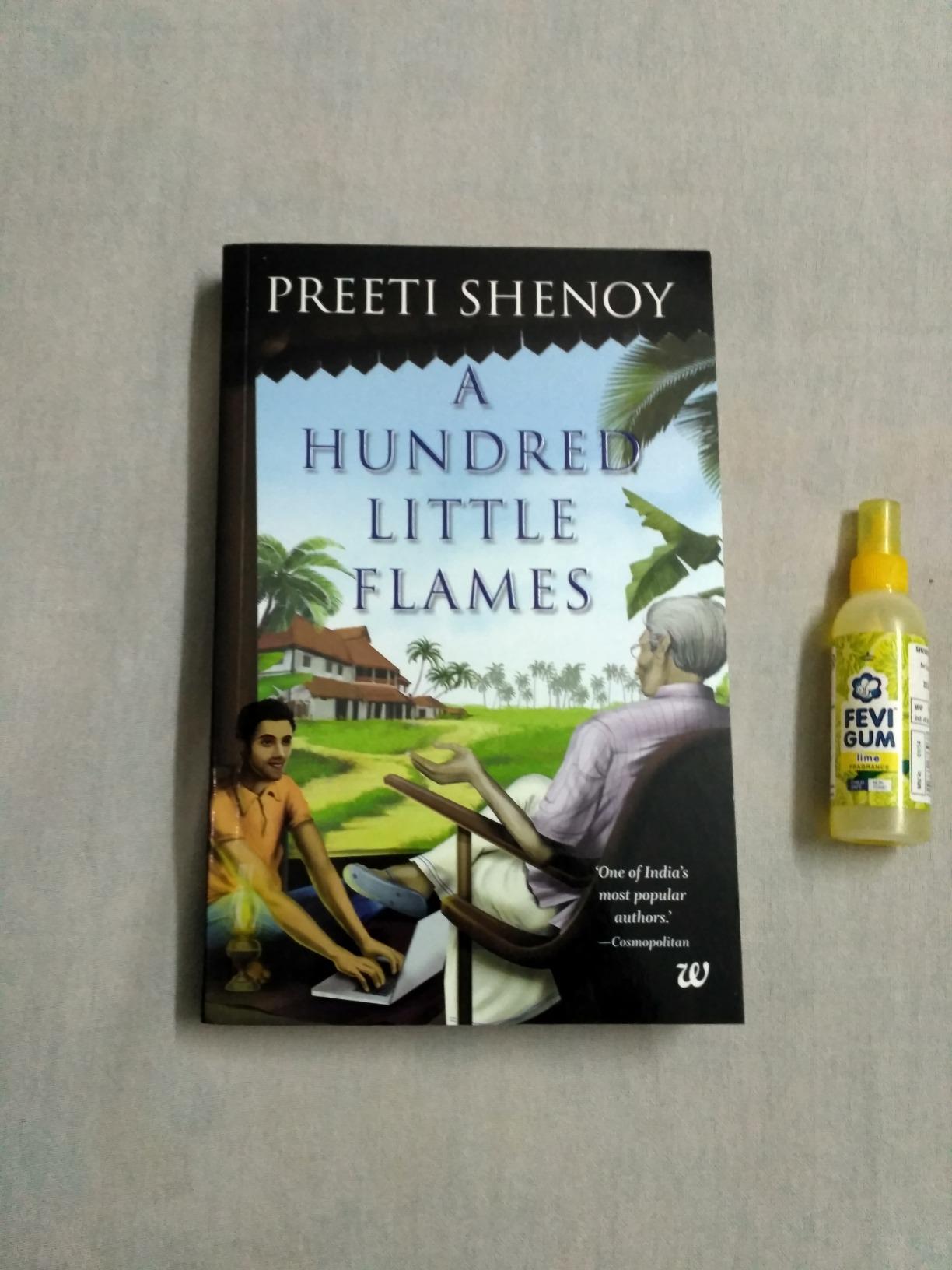 Buy A Hundred Little Flames Book Online at Low Prices in India | A ...
