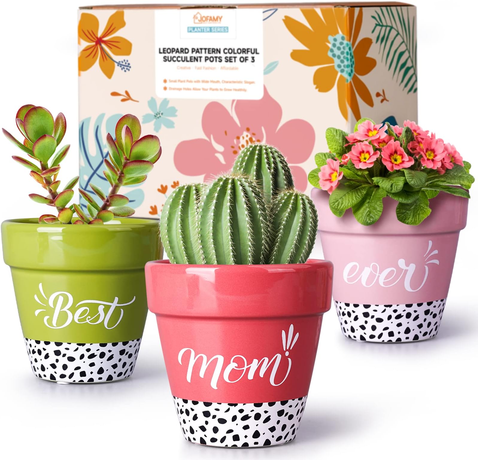 Amazon.com: JOFAMY Best Mom Ever Planters Mother's Gift, 3 Pack 4 Inch ...