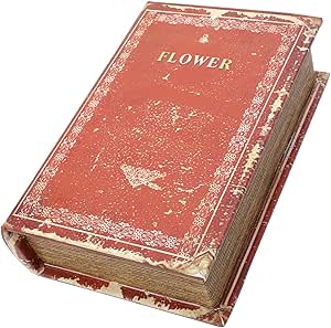 Amazon.com: Decor Jewelry Organizer Vintage Book Box, Decorative Fake ...