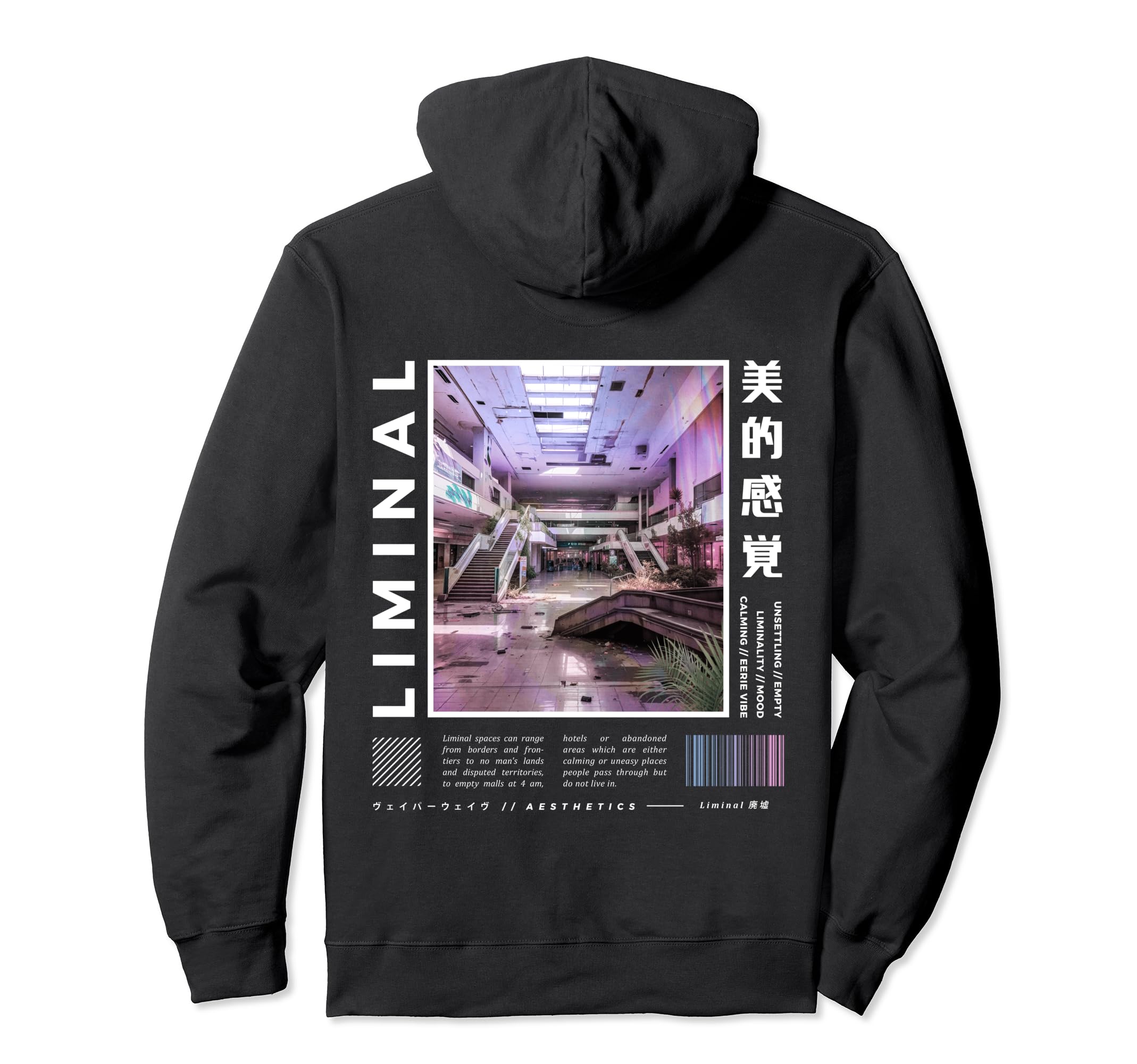 Liminal Spaces (BackPrint) Vaporwave Backrooms Pastel Goth Pullover ...