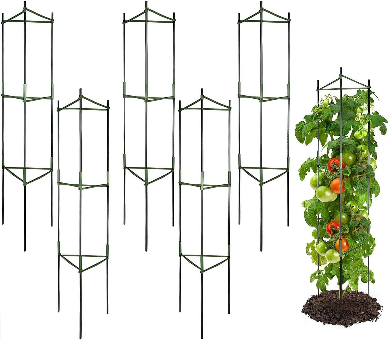 Amazon.com : Pushglossy 24 Sets 48 Inch Tomato Cage for Garden Plants ...