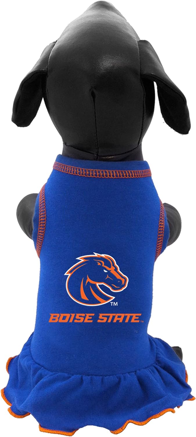 Boise State Cheerleader Uniform