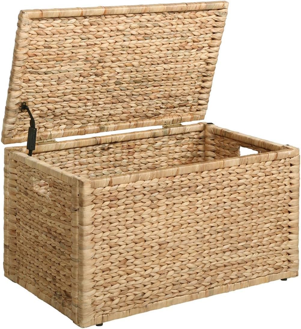 Amazon.com: Kouboo Rattan Kobo Decorative Storage Trunk with Lid, Small ...