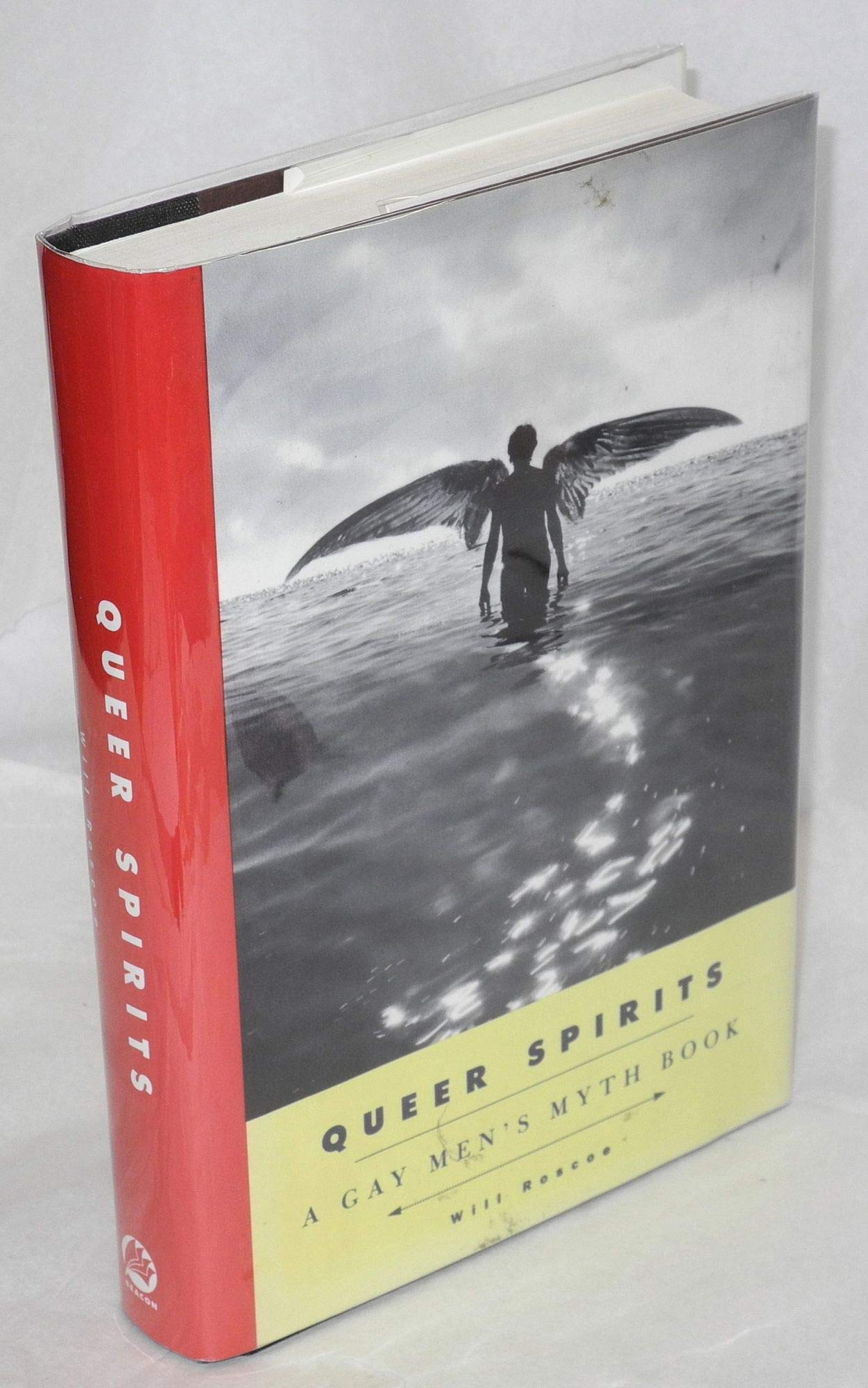Queer Spirits: A Gay Men's Myth Book: Roscoe, Will: 9780807079386 ...