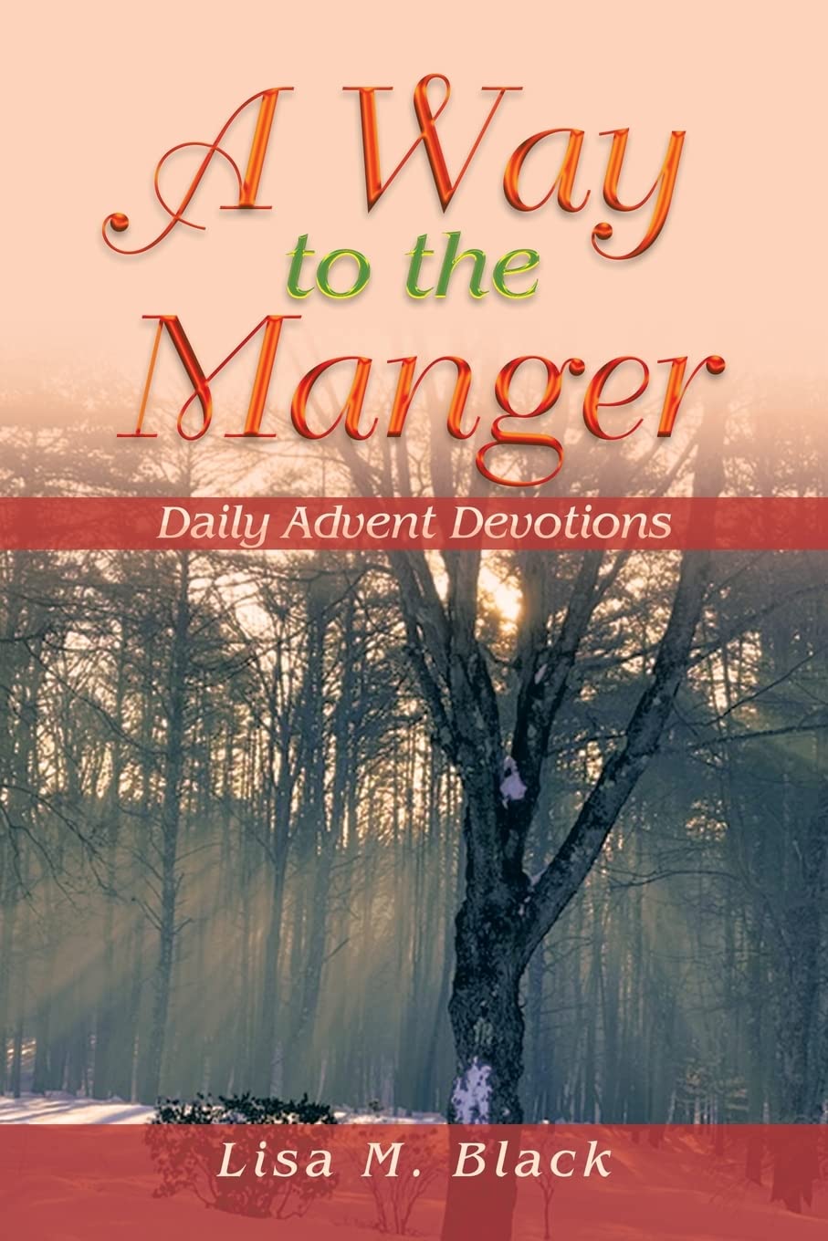 A Way to the Manger: Daily Advent Devotions: Black, Lisa M ...
