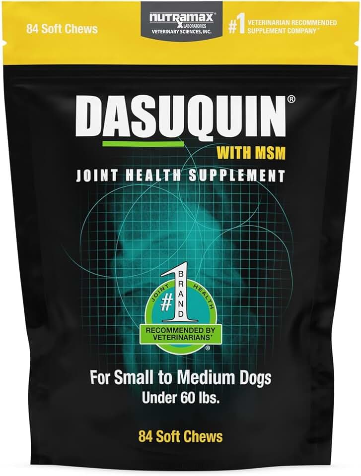 Amazon.com: Dasuquin