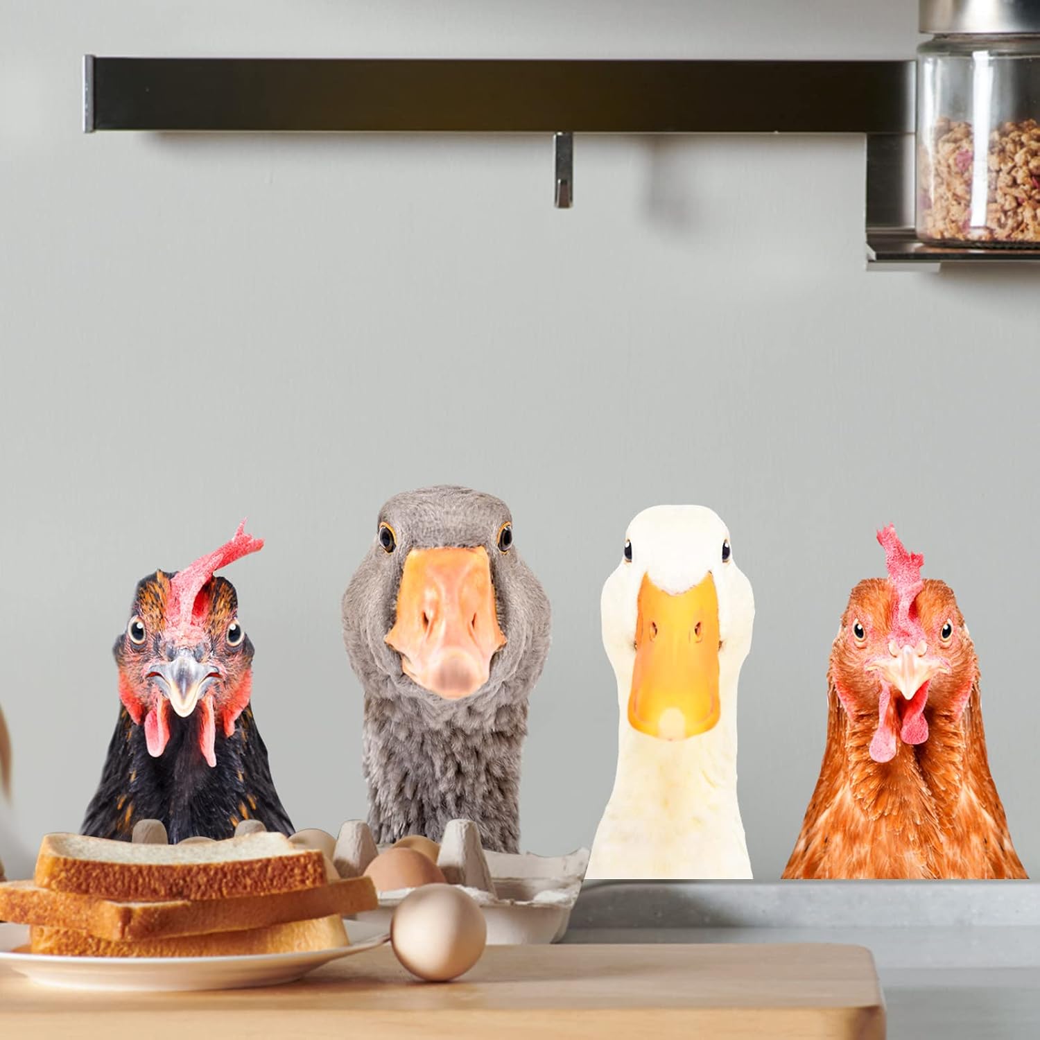 Amazon.com: Chicken Duck Wall Decals Peel and Stick Funny Wall Sticker ...