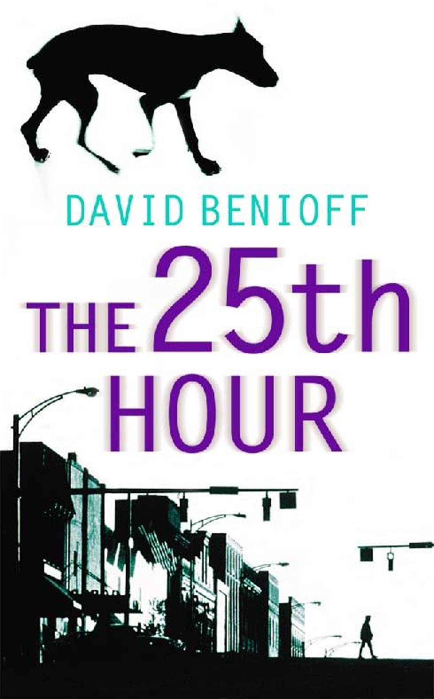 Amazon | The 25th Hour | Benioff, David | Mystery