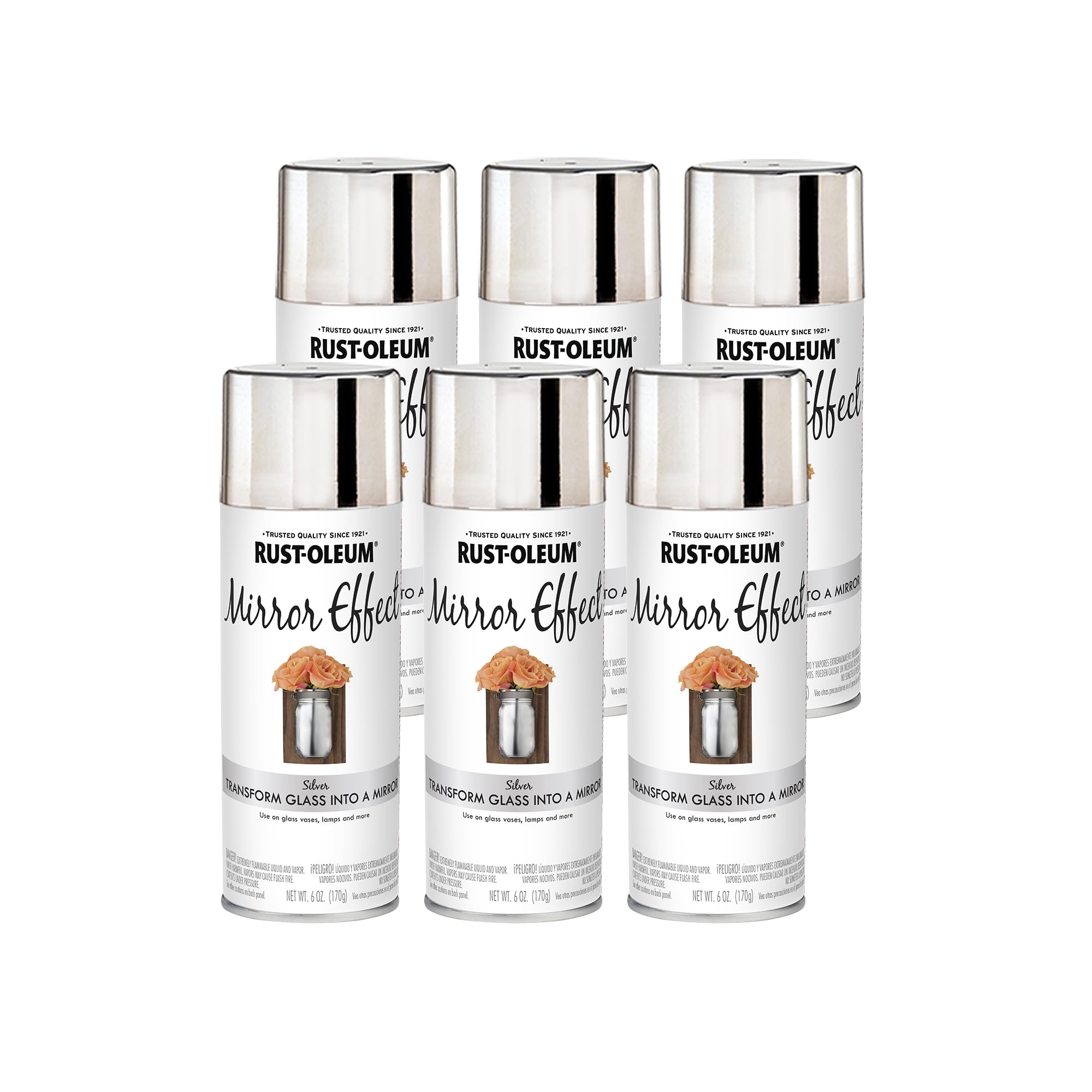 Rust-Oleum 301494-6PK Specialty Mirror Spray, Silver, 6 Ounce (Pack of ...
