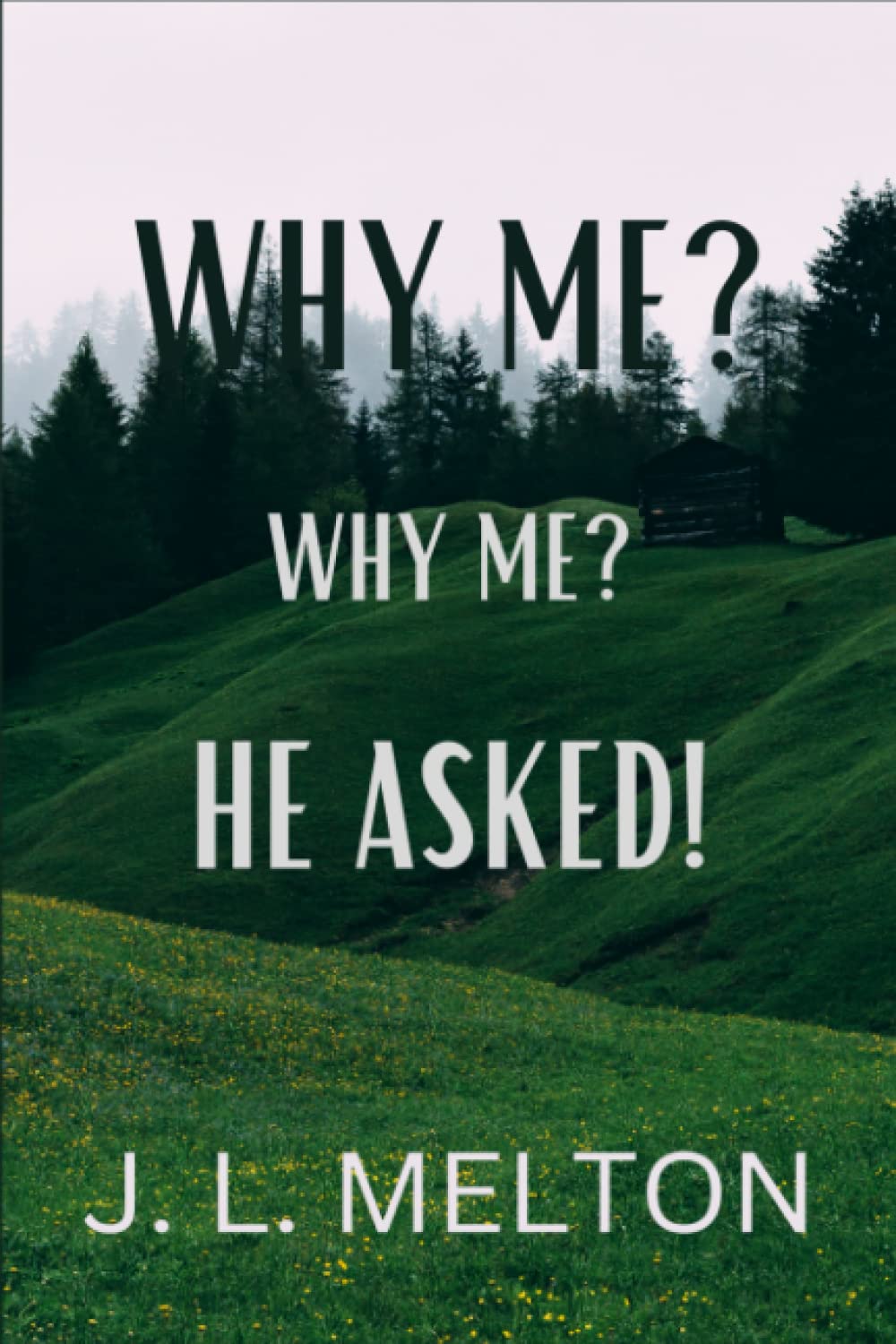 Amazon.com: WHY ME? WHY ME? HE ASKED!: 9798361184033: MELTON, J. L.: Books