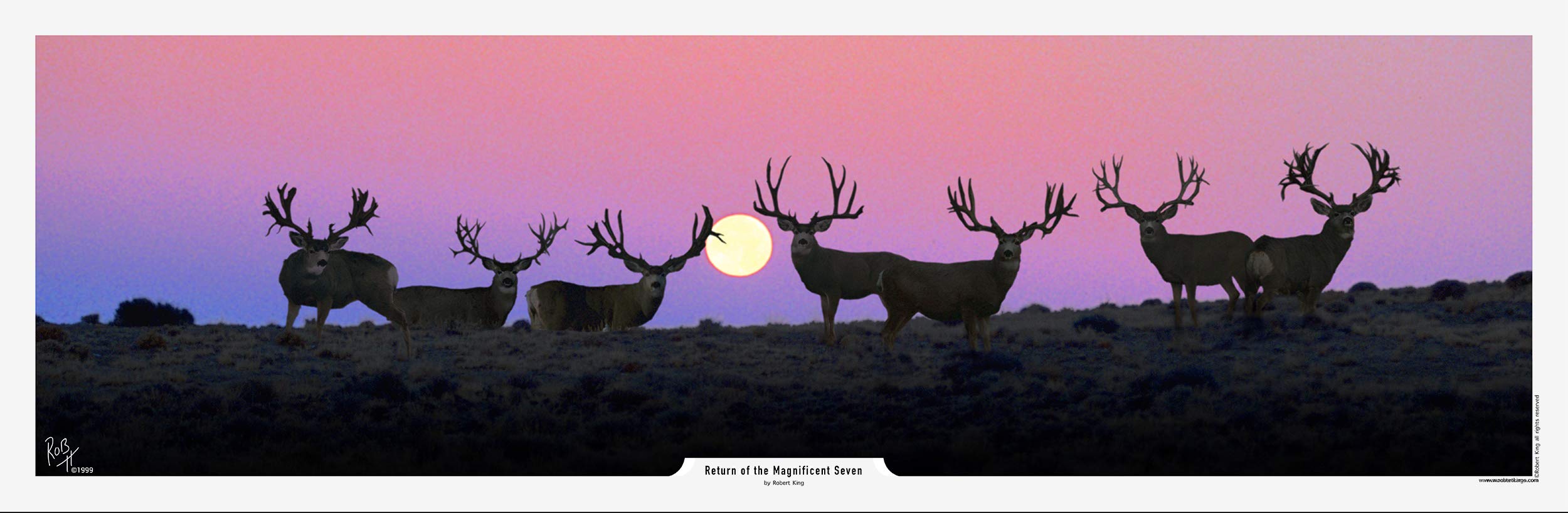 Amazon.com: Return of The Magnificent Seven - Mule Deer Print by Robert ...