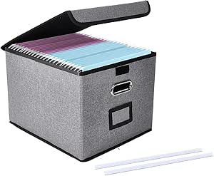 Amazon.com: LAMZRAVE Portable File Organizer Box with Lid with Plastic ...