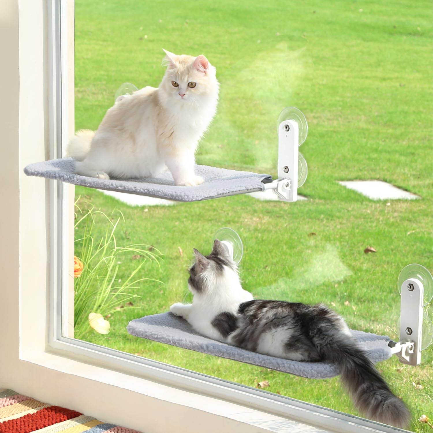 Amazon.com : Zakkart 2PC Easy Fold Cat Window Perch - Cordless, Fold-Up ...