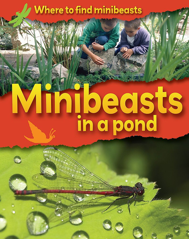 In a Pond: Sarah Ridley: 9781445102757: Amazon.com: Books