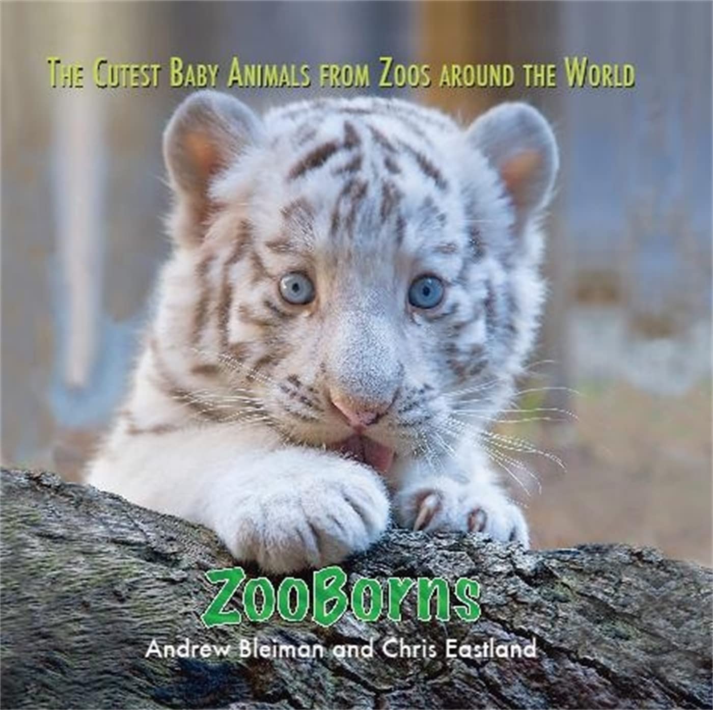ZooBorns: The Newest, Cutest Animals from the World's Zoos and ...