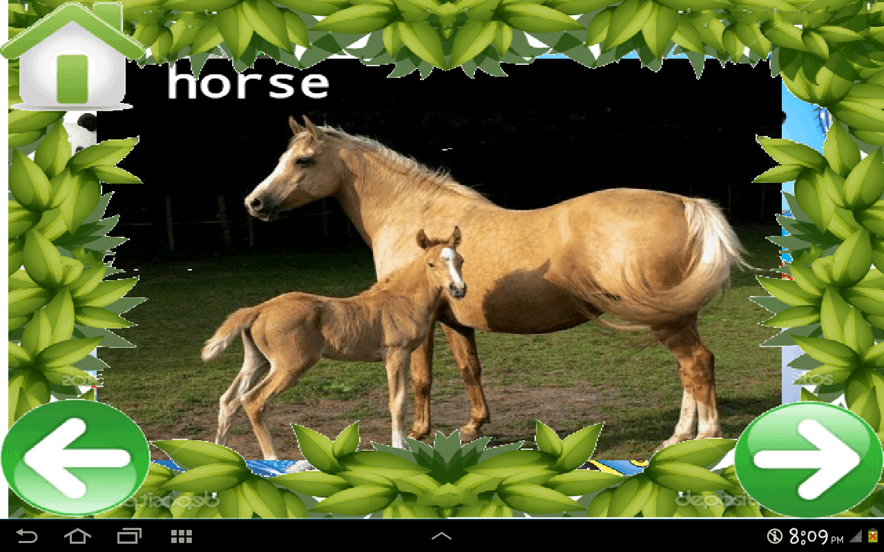 Kids Zoo Animals Sounds - App on Amazon Appstore