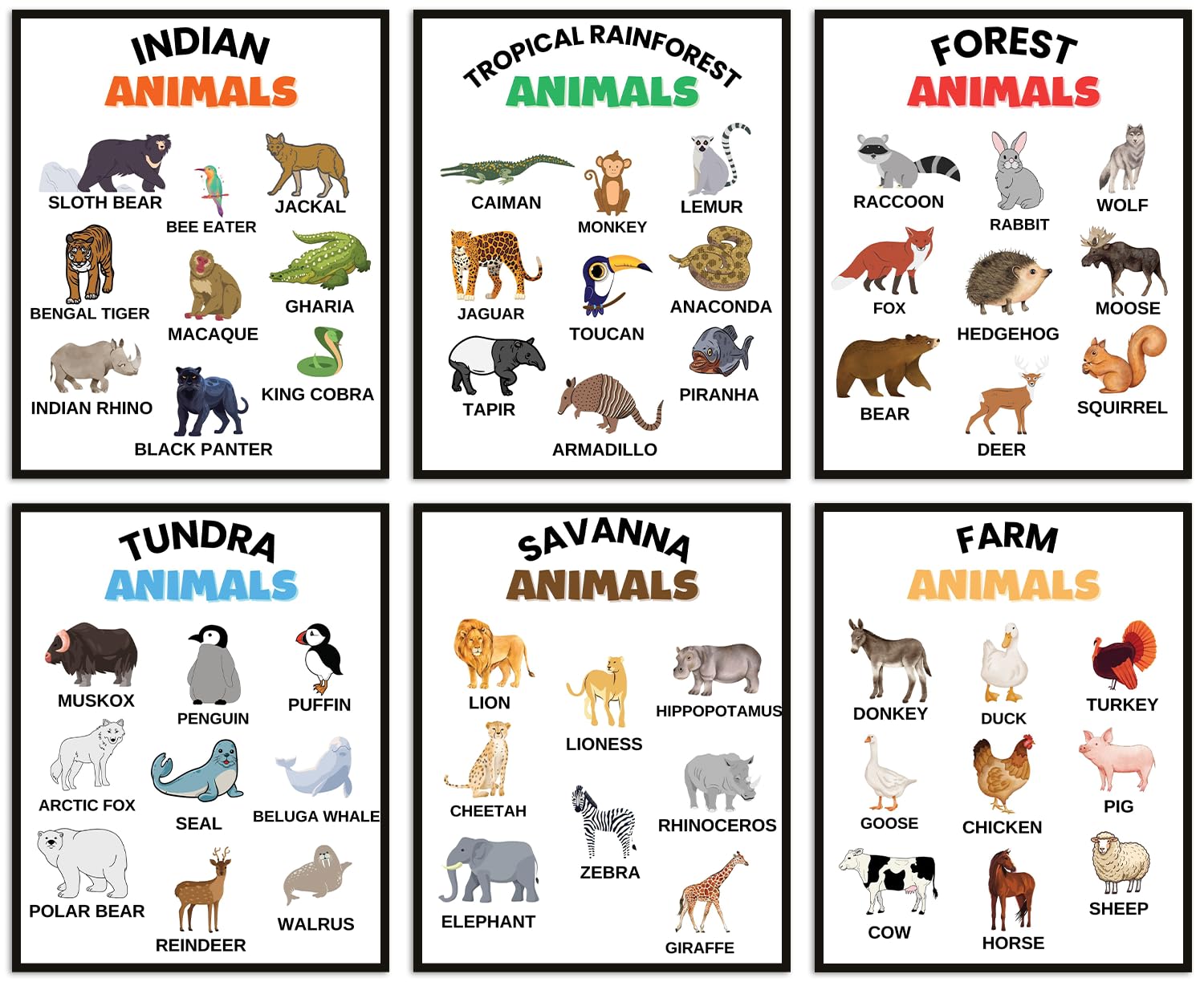 Amazon.com: Educational Posters, Homeschool Decorations, Preschool Wall ...