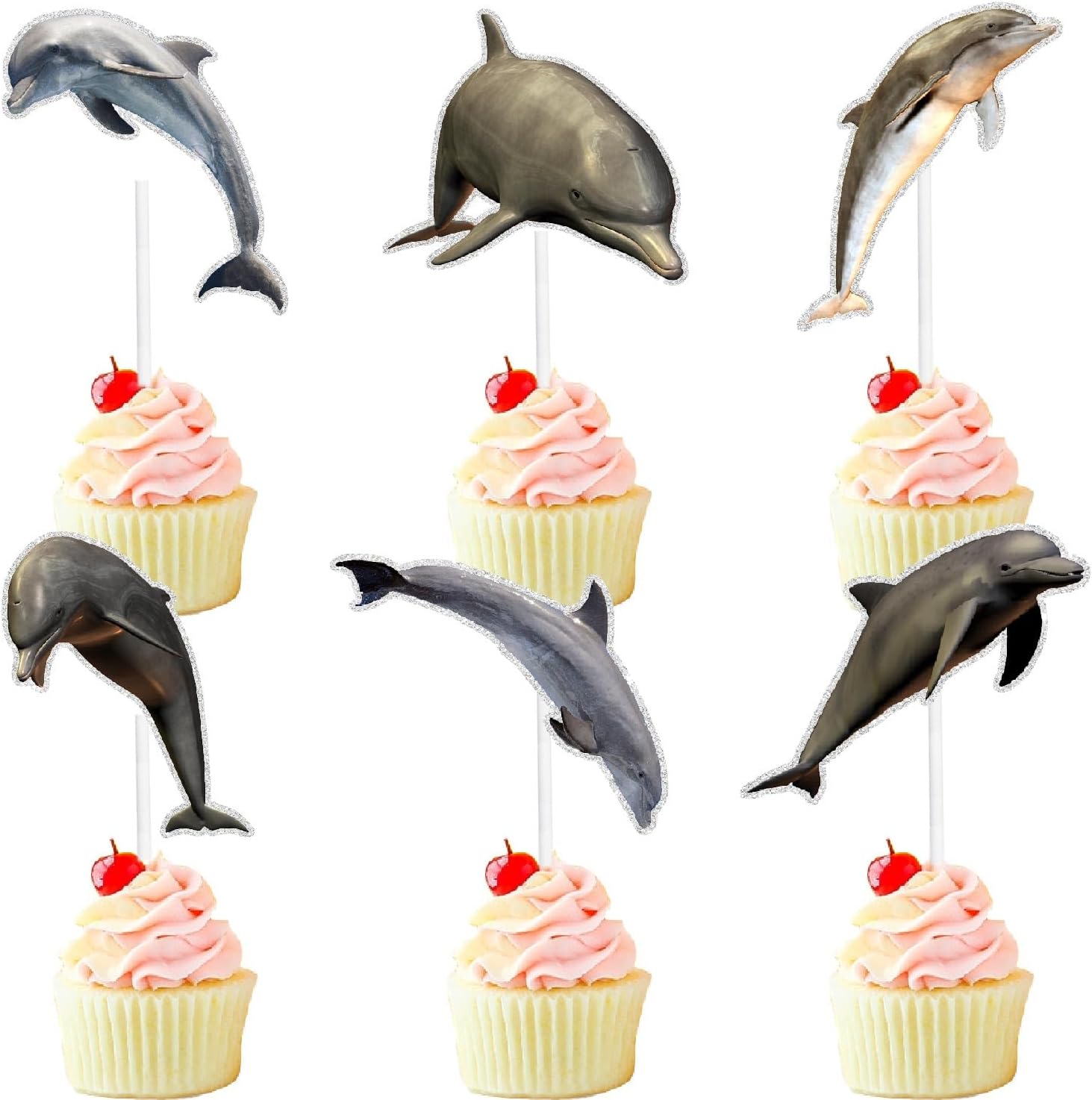Amazon.com: Ocean Dolphin Theme Happy Birthday Cupcake Toppers Set of ...