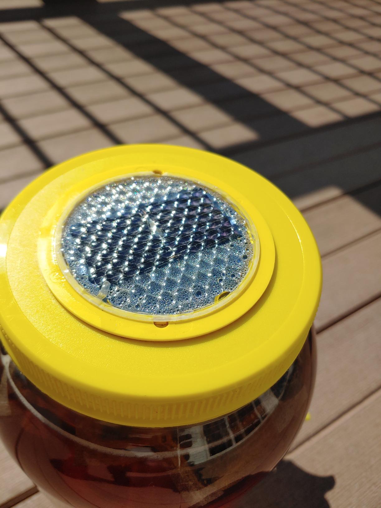 Amazon.com: Solar Powered Sun Tea Maker LID ONLY : Home & Kitchen