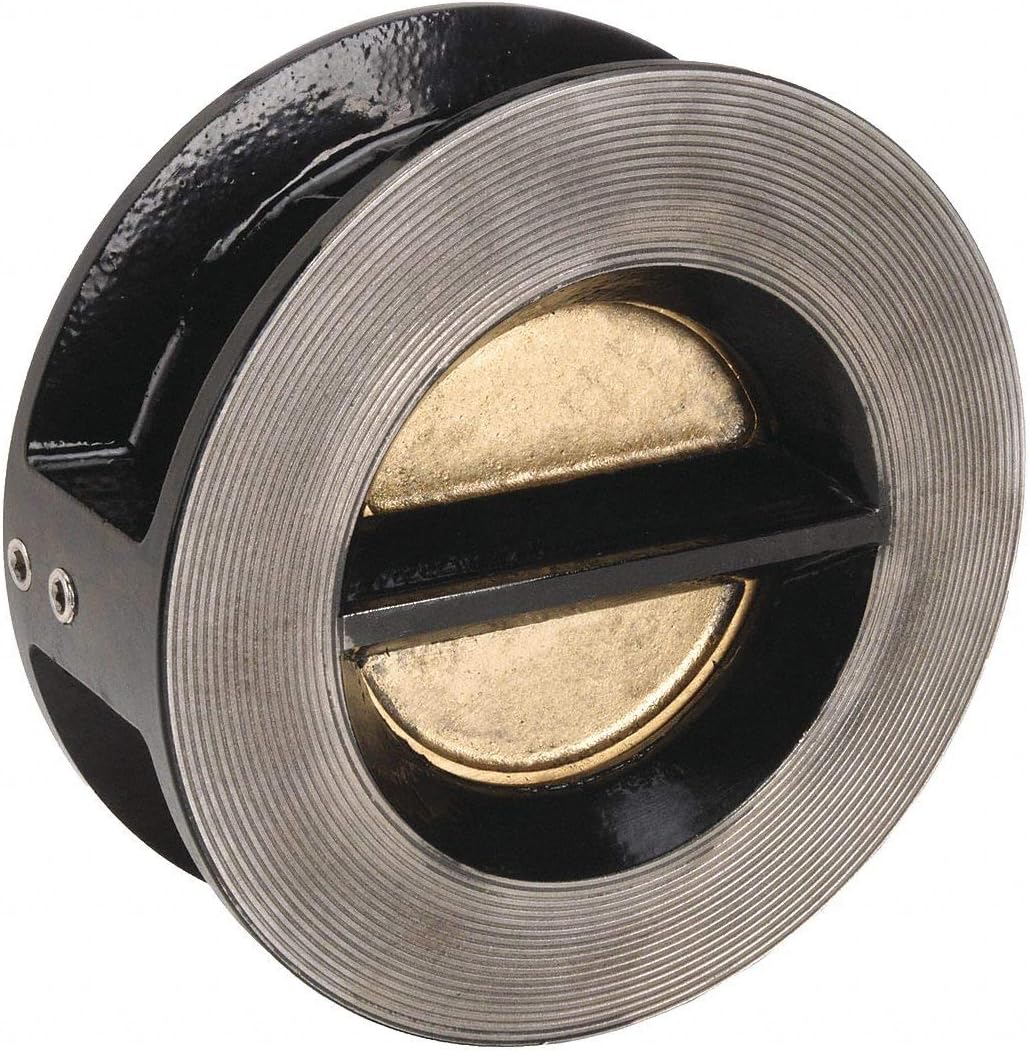 Amazon.com: Double Disc Check Valve, Cast Iron, 2-1/2 : Industrial ...