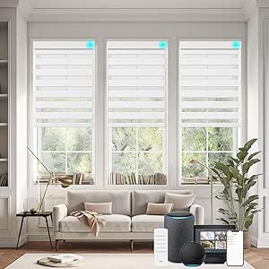 Amazon.com: Changshade Custom Smart Motorized Zebra Roller Blinds Shades for Indoor Windows ...