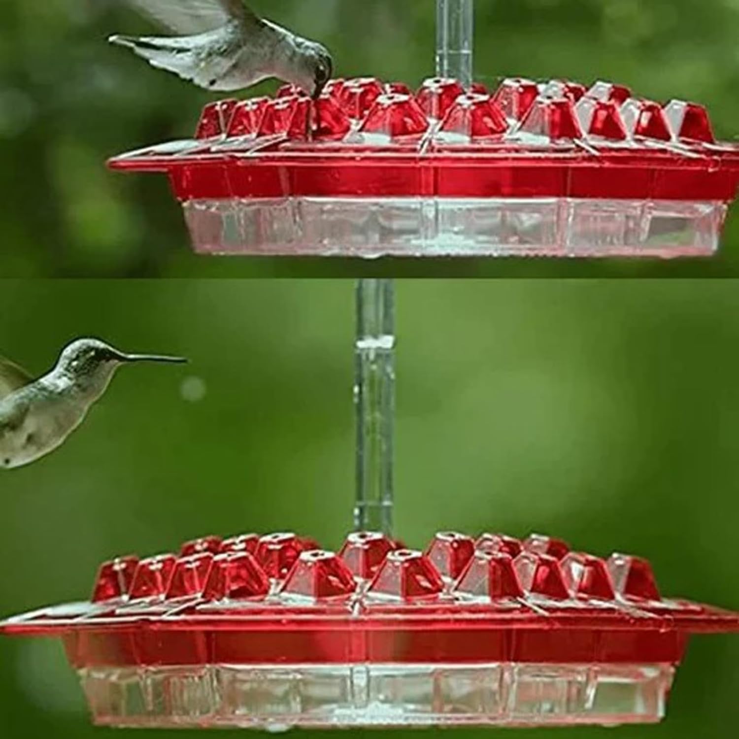 Snapklik.com : 2024 New Shirem Sweety Hummingbird Feeder
