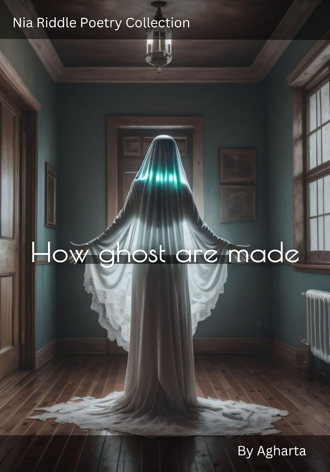 Amazon.com: How Ghost Are Made: Nia Riddle 2023 Poetry Collection eBook ...
