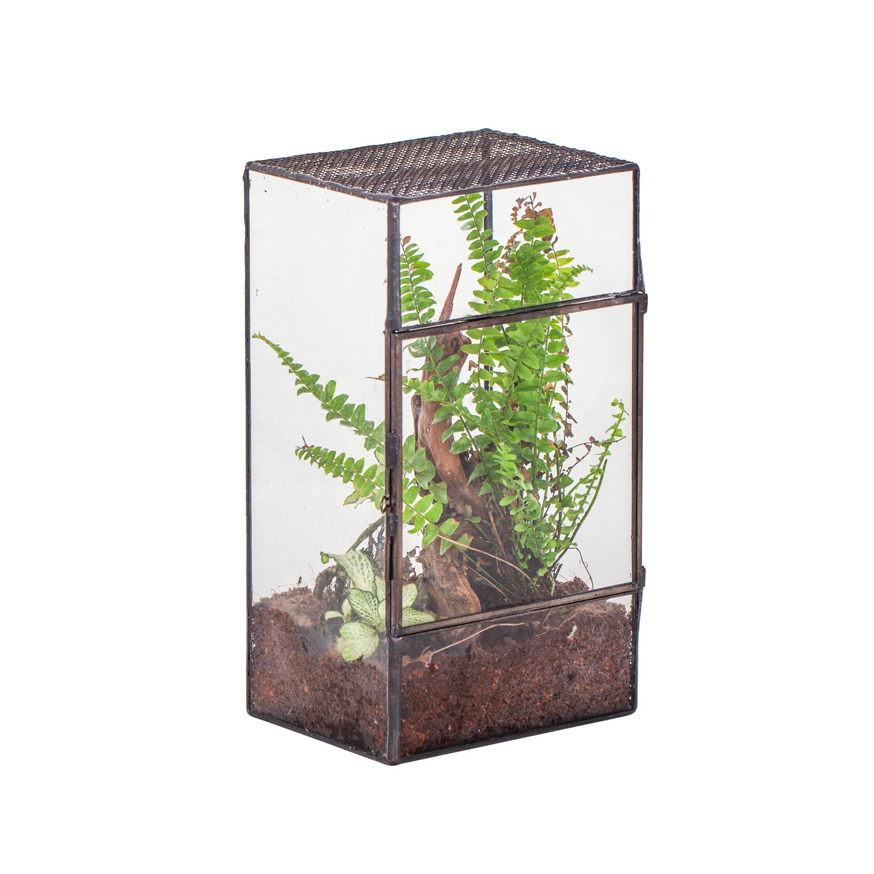 Amazon.com : NCYP Glass Terrarium with Door and Mesh for Small Insects ...