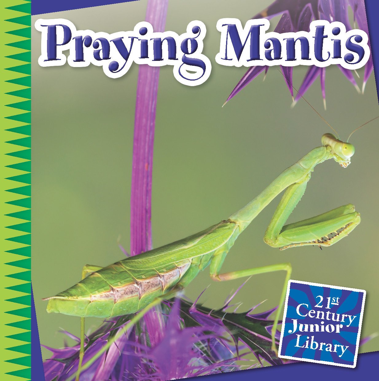 Praying Mantis (21st Century Junior Library: Creepy Crawly Critters ...