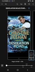 Desolation Road (Torpedo Ink): Feehan, Christine: 9780593099759: Amazon ...