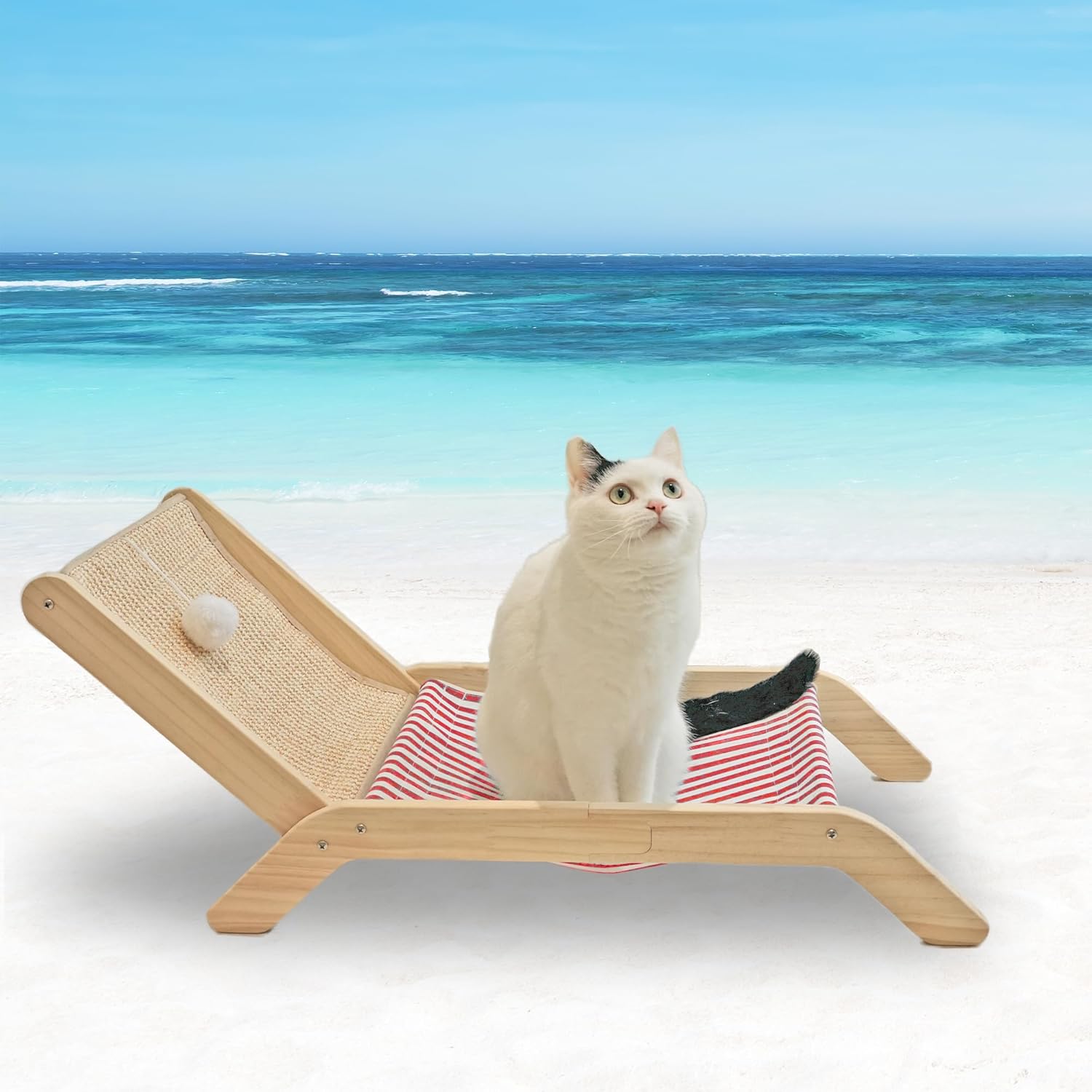 Amazon.com : Beach Chair Cat Hammock, Cat Furniture, Original Cozy Cat ...