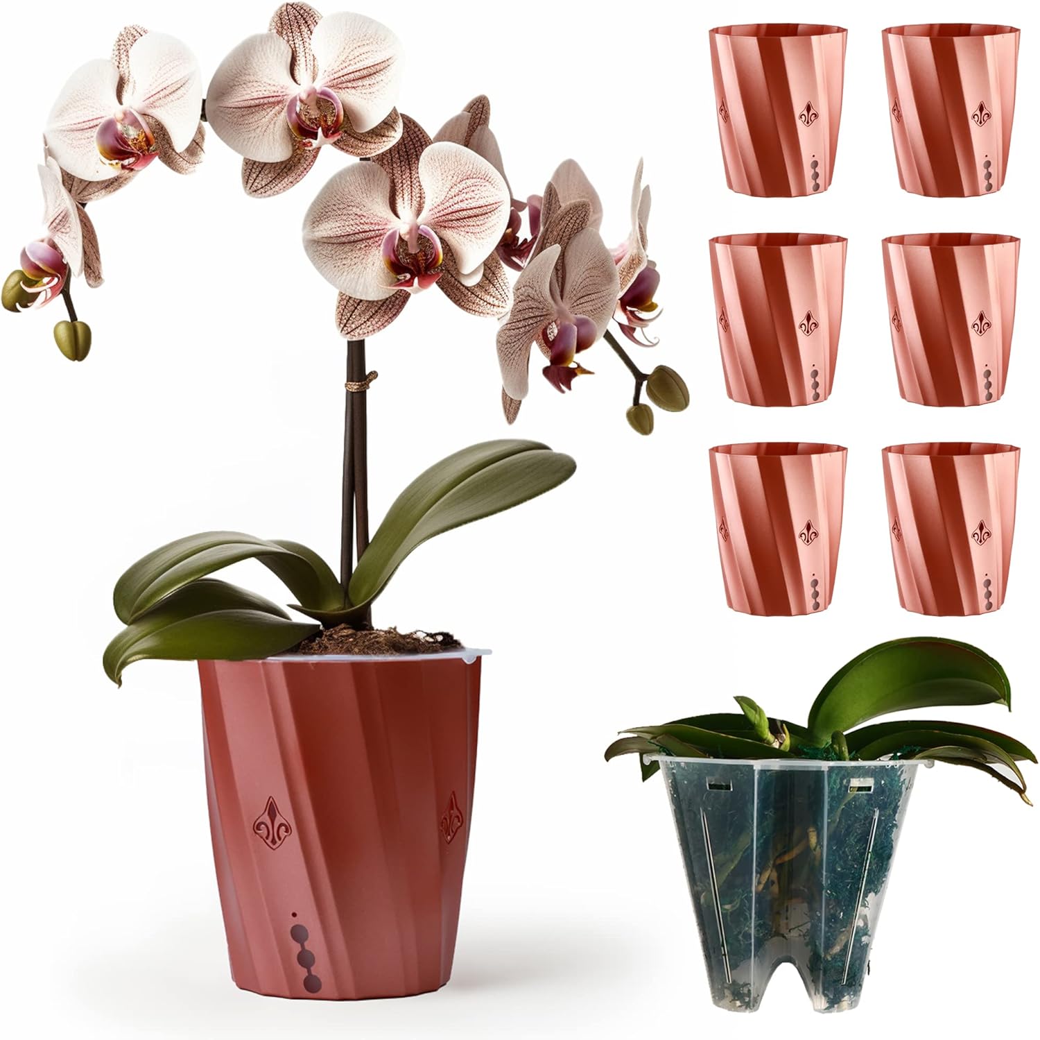 Amazon.com: 6 Pack 5-Inch Orchid Pot and Self-Watering Pots for Indoor ...