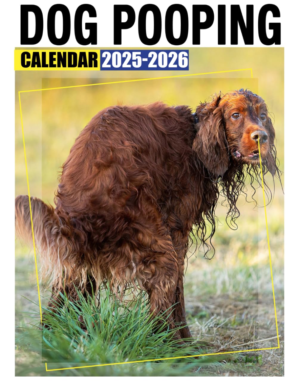 Amazon.com: Dog Pooping Calendar 2025 - 2026: 24-Month Monthly Gift ...