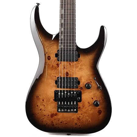 Amazon.com: ESP Guitars 6 String Electric Guitar, Black Natural Burst ...