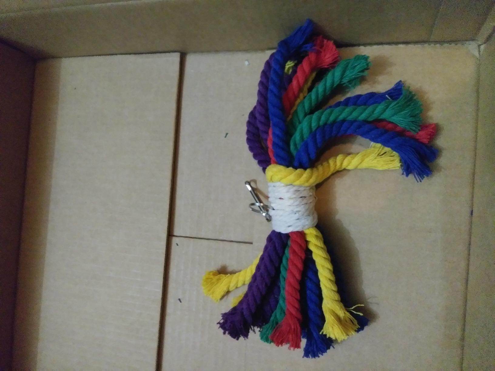 Amazon.com : Rypet Parrot Colorful Rope Toy - Perfect Bird Cage Toy for ...