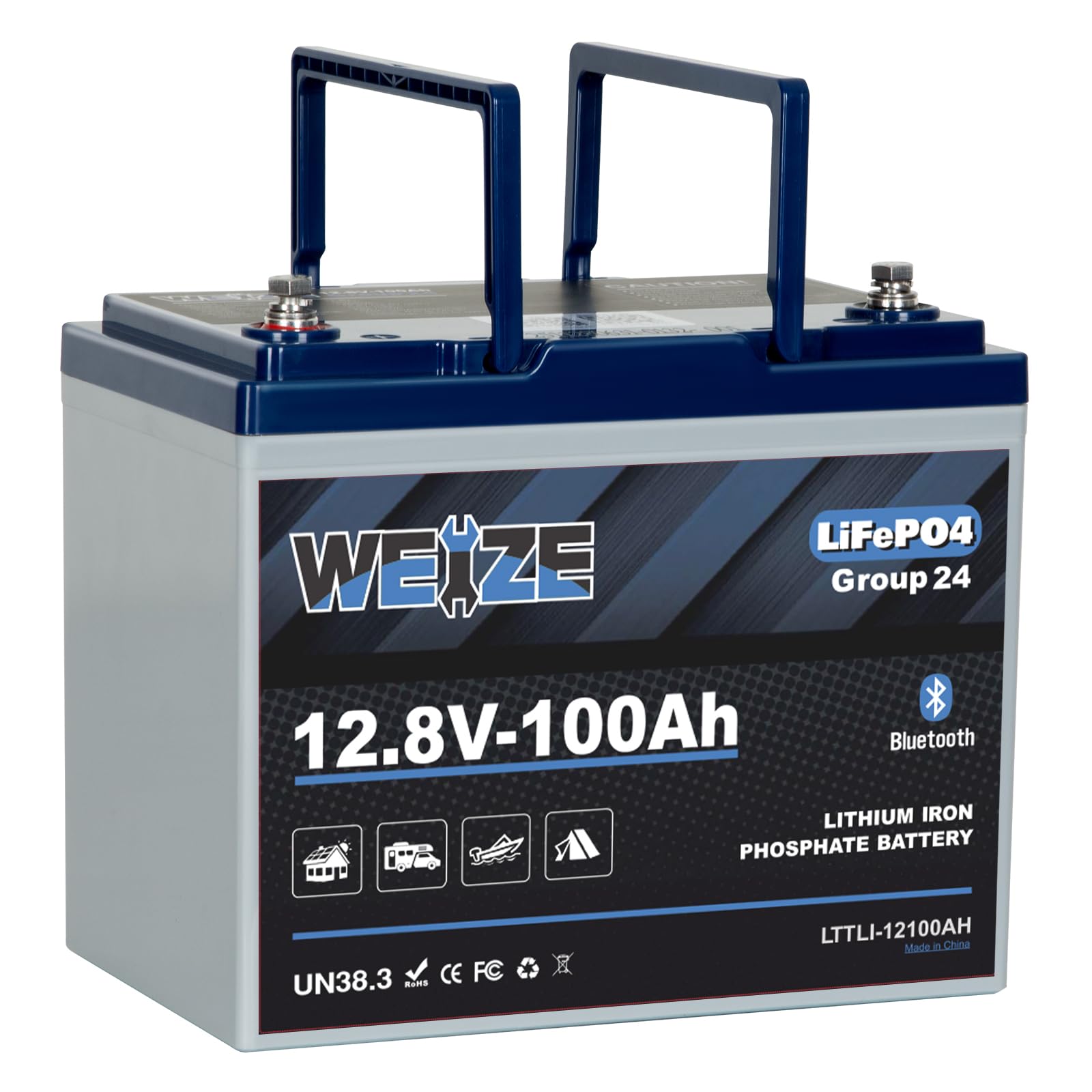 Weize 12v 100ah Lifepo4