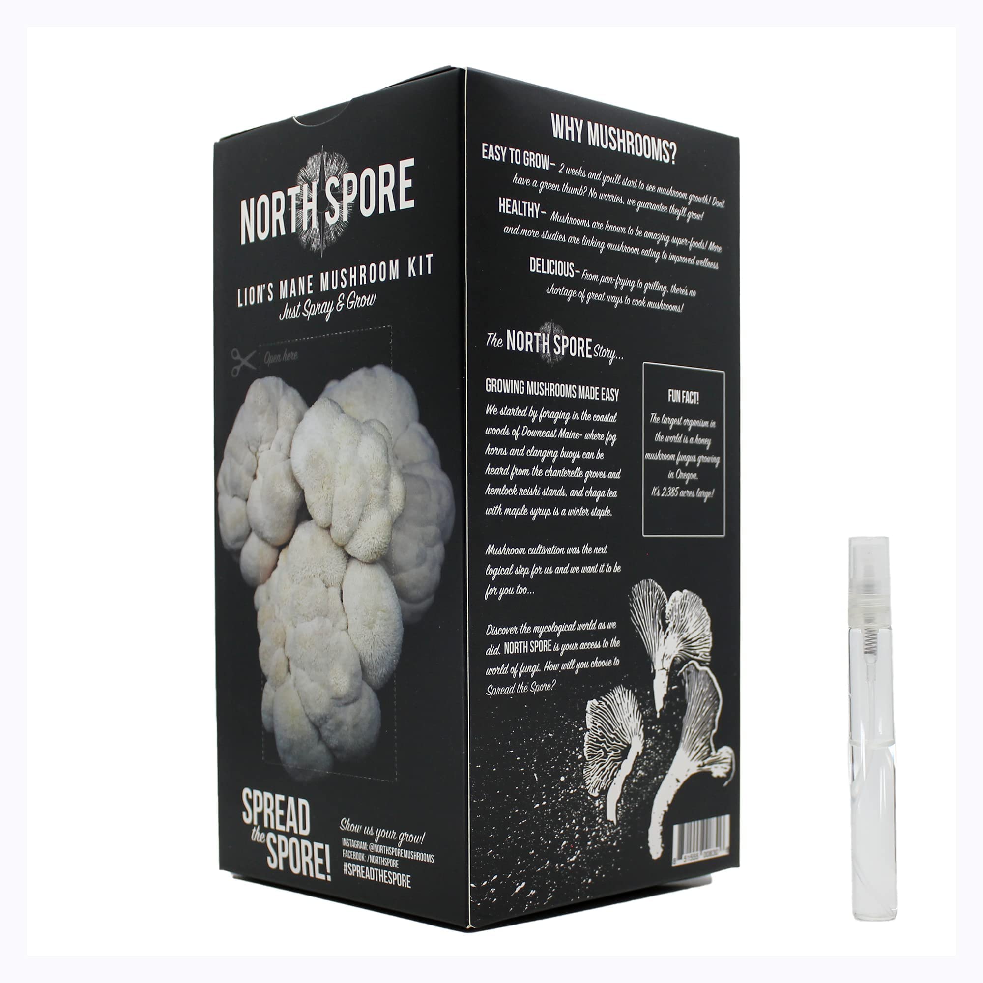 North Spore Lion's Mane Mushroom Spray & Grow Kit (4 lbs) | Beginner ...