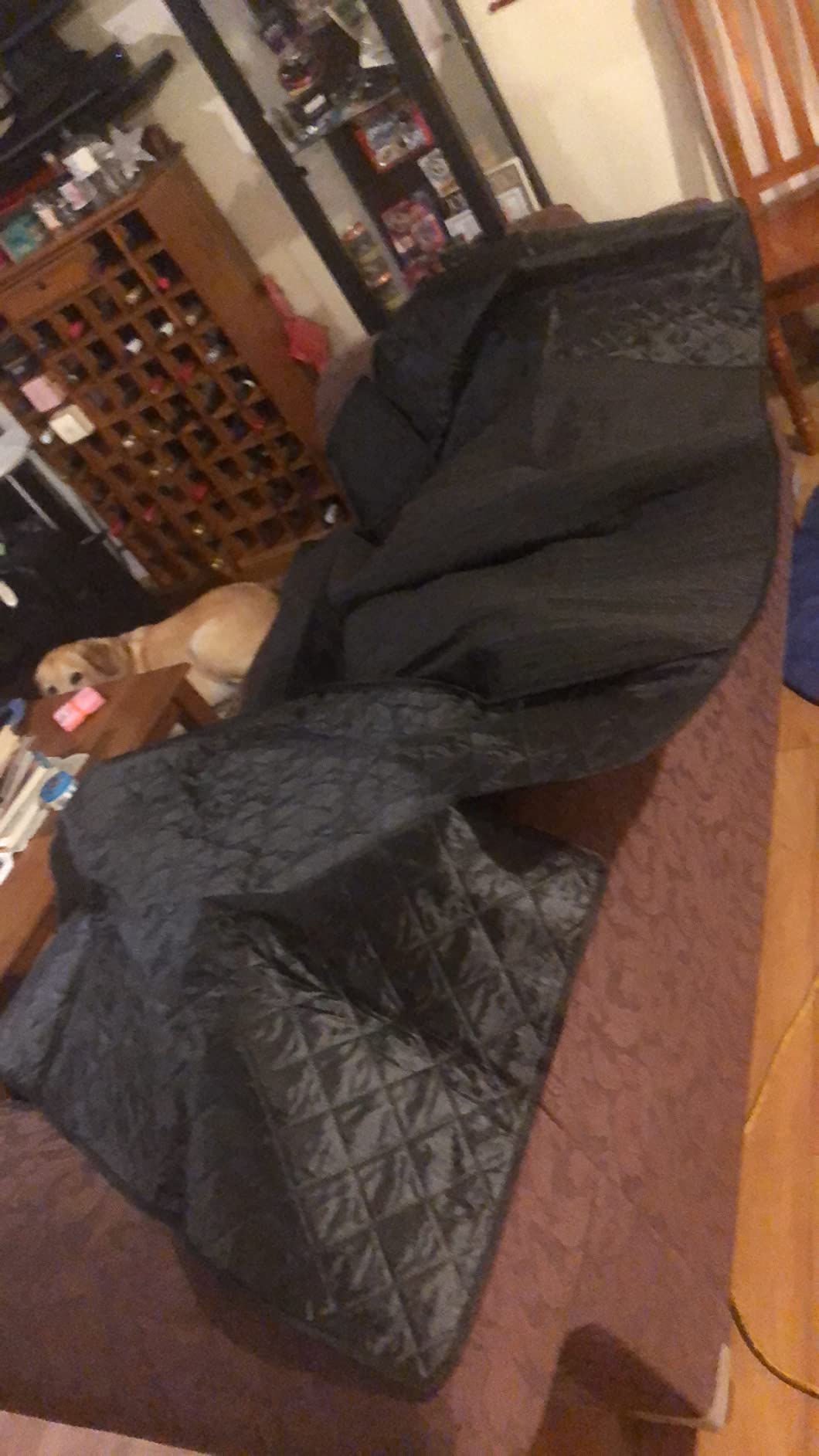 Premium 4-Layer, Non Slip Car Boot Liner for Dogs with Bumper Flap ...