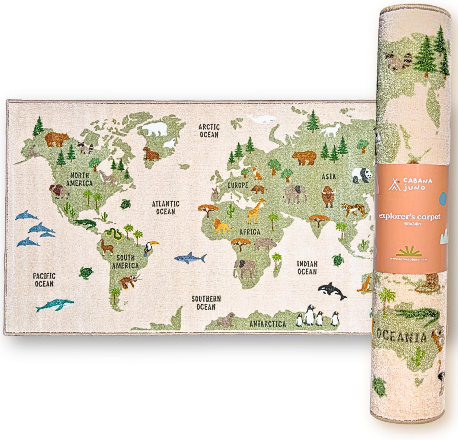 Amazon.com: Eric Carle Elementary World Map Kids Machine Washable Area ...