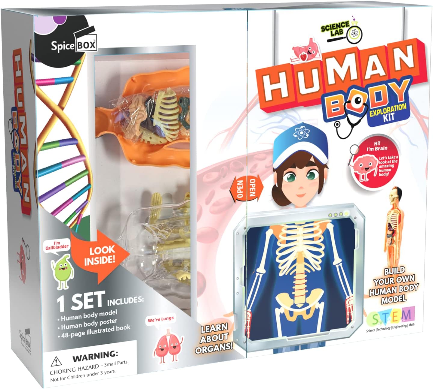 Amazon.com: Science Lab SpiceBox Human Body Kit - Unveil The Marvels ...