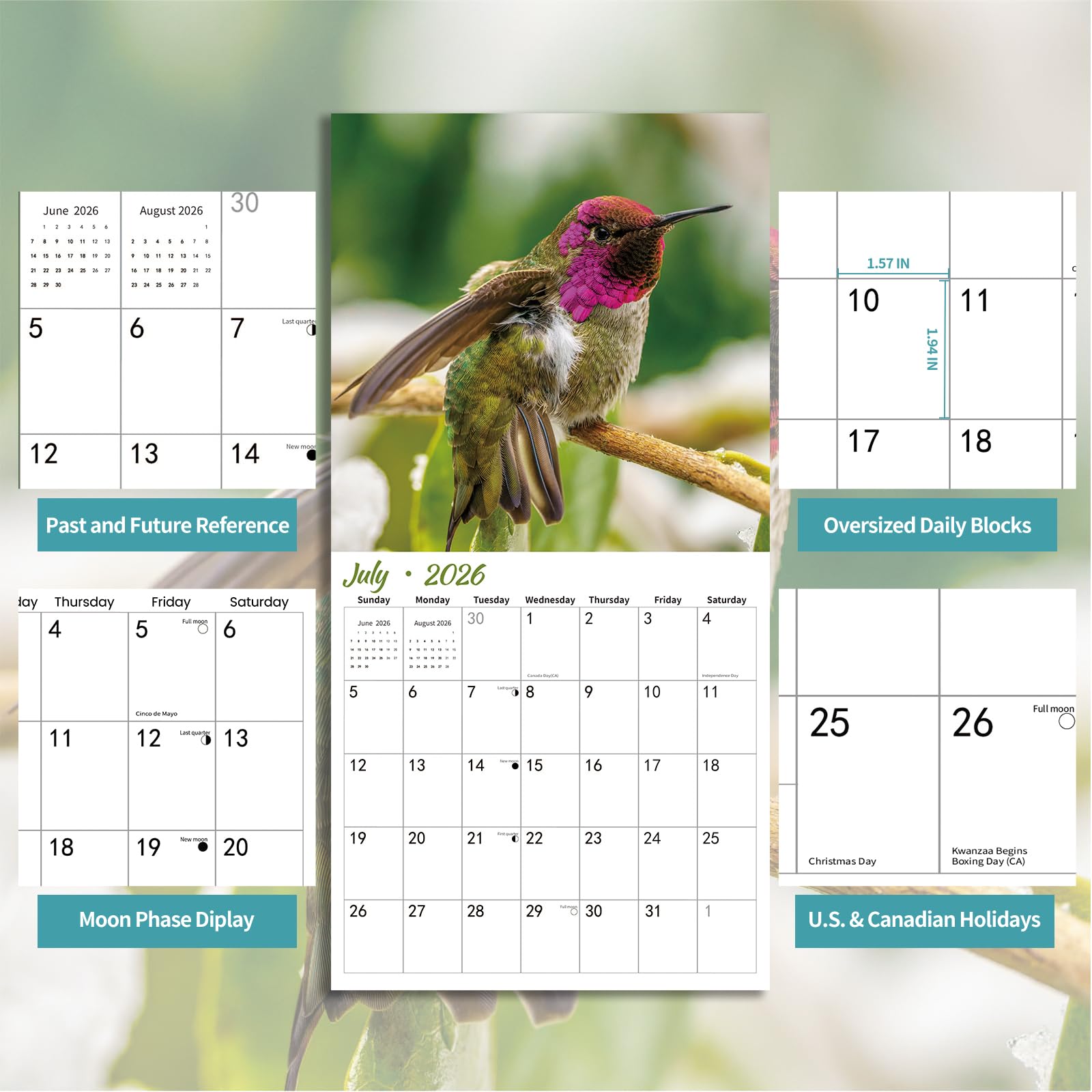 Snapklik.com : 2025-2026 Wall Calendar Hummingbird 18 Monthly Hangable ...